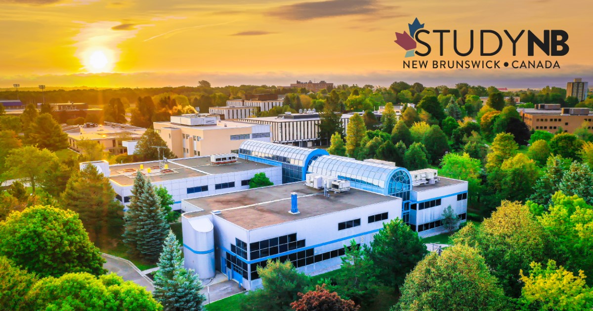 StudyNB Launch Events Study NB Where Education Meets Innovation StudyNB Launch Events Study NB Where Education Meets Innovation